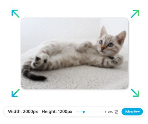 Bild vergrößern ohne Qualitätsverlust 5 Online Tools PERFECT