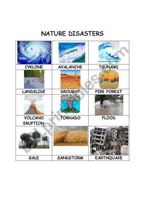 Natural Disasters ESL Worksheet By Malniedz