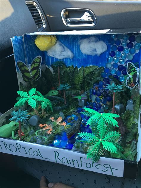 Rain Forest Project Ideas