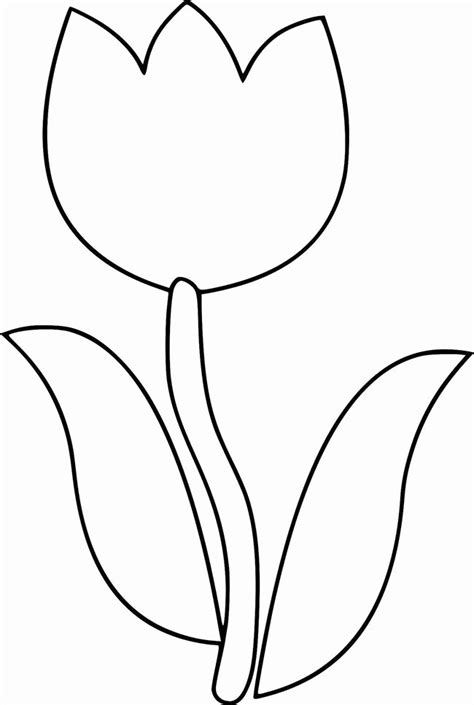 Desenhos De Tulipa Flores Para Imprimir E Colorir Pintar