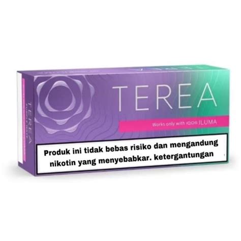 Buy Online Heets Terea Purple Wave From Indonesia Price 150 AED