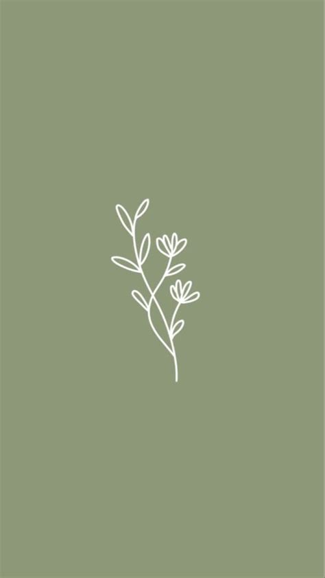4K Sage Green Aesthetic Wallpaper WhatsPaper