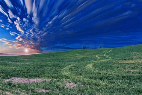 Fotos gratis paisaje árbol naturaleza césped al aire libre