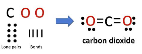 Lewis Structure Of CO2 With Video And Free Study Guide