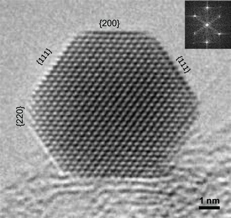 Voir Les Atomes Nathalie Lidgi Guigui