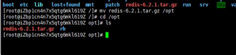 redis狂神说笔记超详细 总结不易 狂神说redis csdn博客