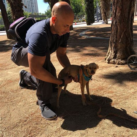 This Veterinarian Drives Around California And Helps Homeless Peoples