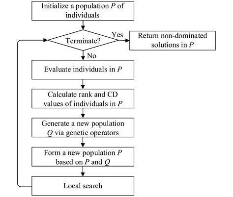 a length adaptive non dominated sorting genetic algorithm for bi objective high dimensional