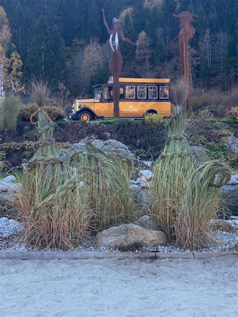 Geflochtene Ziergräser Guerrilla gardening Pampas grass Grass