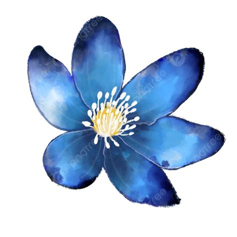 Flores Azuis Em Aquarela Png Flor Em Aquarela Flor Floral Imagem