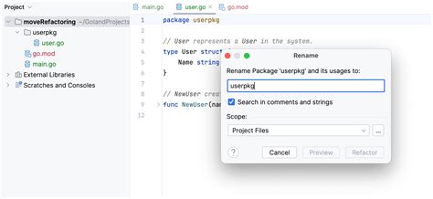 Rename Refactorings Goland Documentation