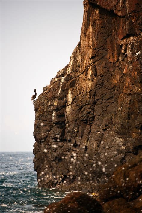 Fotos Gratis Paisaje Mar Costa Naturaleza Rock Oceano Horizonte