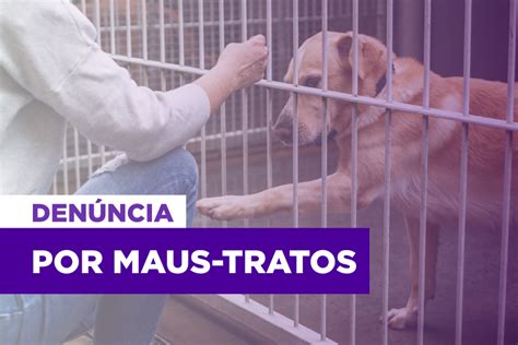 Justiça recebe denúncia oferecida pelo MP contra mulher que mantinha
