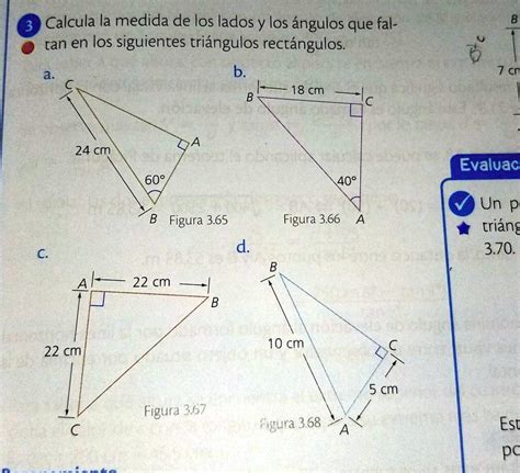calcula la medida de los lados y los ángulos que falta en los