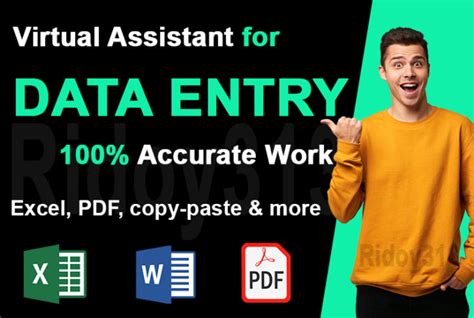 do excel data entry data cleaning pdf to excel typing copy paste scraping by ridoy313 fiverr