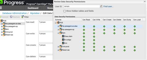 Stackoverflow Progress OpenEdge ABL Authorization On Executing
