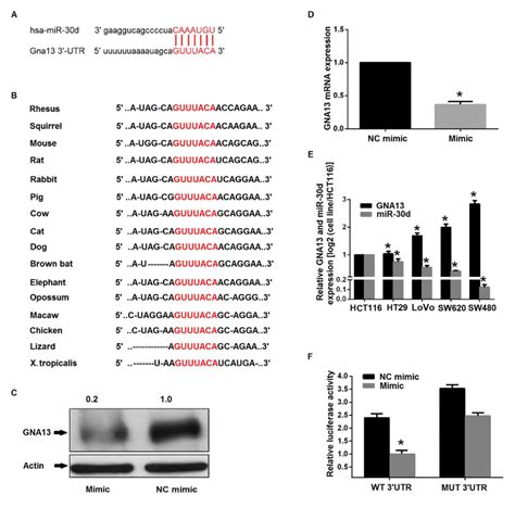 MiRNA30d Serves A Critical Function In Colorectal Cancer Initiation