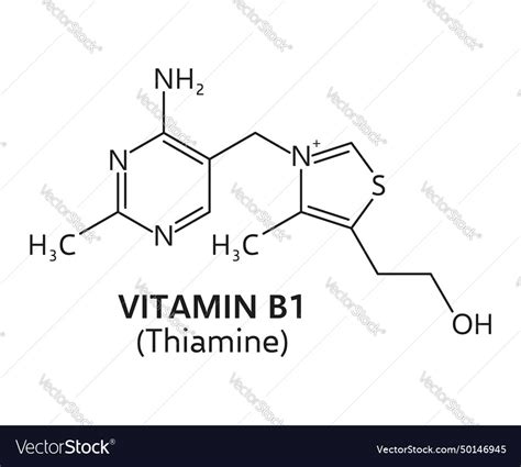 Vitamin B1 Formula Thiamine Chemical Structure Vector Image