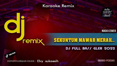 Dj Dangdut Sekuntum Mawar Merah Karaoke Lirik Viral Tiktok Nada
