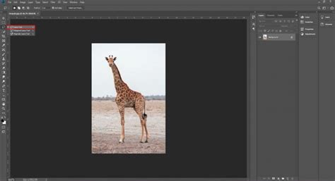 Detail Cara Menghilangkan Objek Di Foto Dengan Photoshop Koleksi Nomer 21