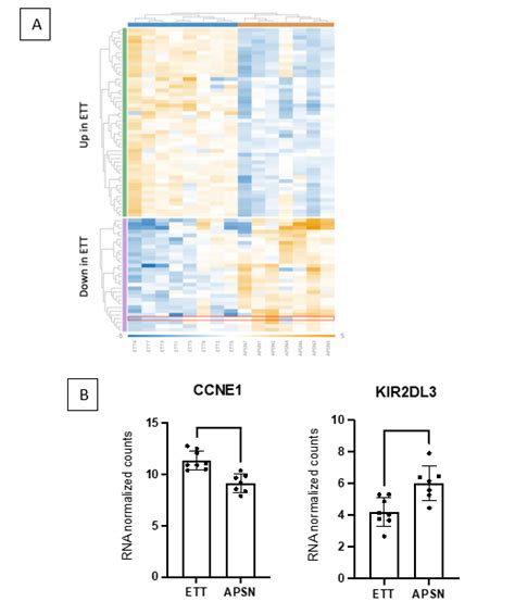 Differentially Expressed Genes Deg Between Psn Placental Site