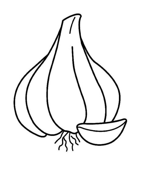 Garlic Alho Colorir Tudodesenhos Knoblauch Vegetal Desenhos Kleurplaat