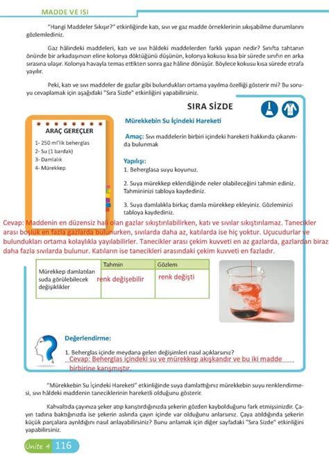 6 Sınıf Fen Bilimleri Meb Yayınları Sayfa 116 Cevapları