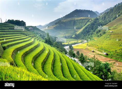 Beautiful Terraced Rice Paddy Field And Mountain Landscape In Mu Cang