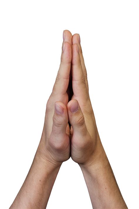 mãos humanas rezam gestos imagens transparentes realistas 18973376 PNG