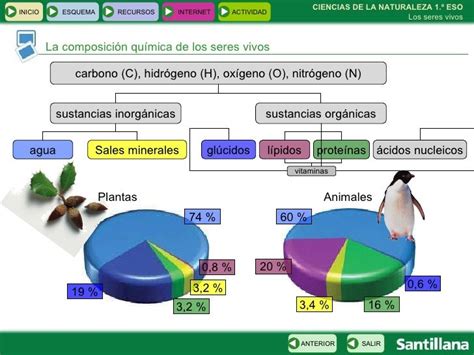 La composición de los seres vivos ana Autotrofos y heterotrofos