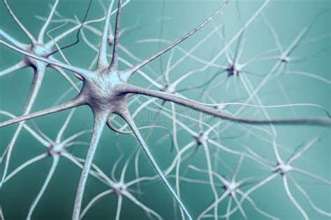 Neuronas En El Cerebro Ejemplo 3D De La Red Neuronal Foto De Archivo