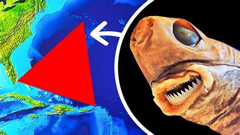 Descubre la ubicación exacta del enigmático Mar Negro 2024