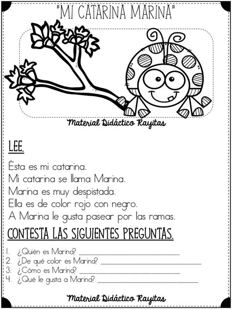 Excelentes lecturas cortas para desarrollar la comprensión lectora de