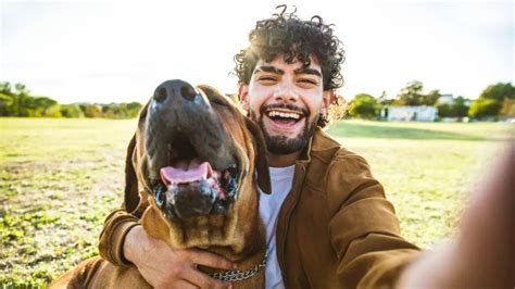 Bonitas Frases De Perros Y Due Os Que Confirman Que Son Nuestros