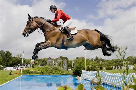 Showjumping Wallpapers Wallpaper Cave