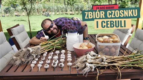 Zbi R Czosnku Zimowego I Cebuli Cda