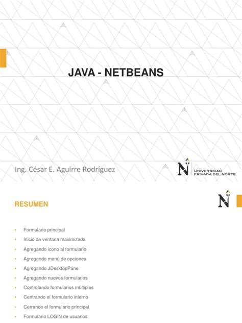 java netbeans pdf java lenguaje de programación gestión de tecnología de la información
