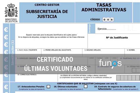 Cómo Rellenar un Documento SEPA Guía Paso a Paso DescargaModelo