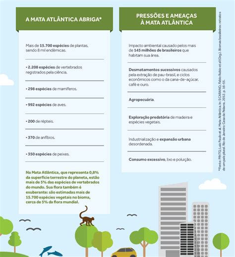 Conheça a Floresta Mata Atlântica SOS Mata Atlântica