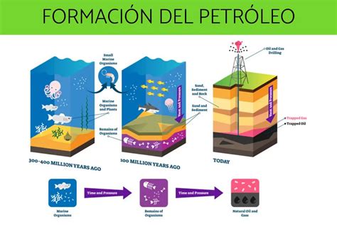 Resumen Completo Sobre El Petróleo Definición Y Importancia En Pocas