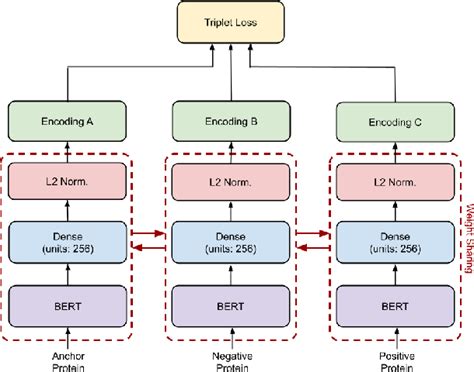 figure 1 from deep learning proteins using a triplet bert network semantic scholar