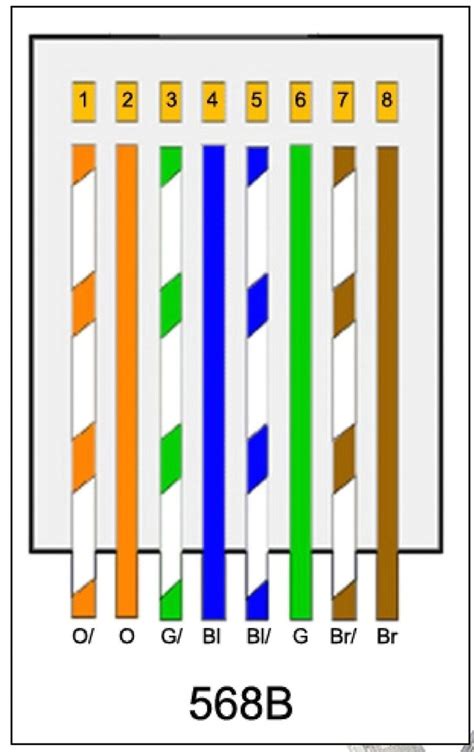 Cat6 Cable Wiring Diagram Cat 6 Cable Wiring Order