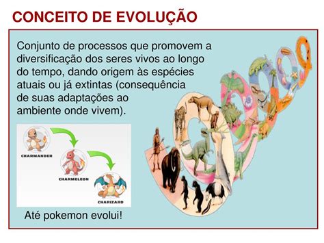 PPT EVOLUÇÃO DOS SERES VIVOS PowerPoint Presentation free download