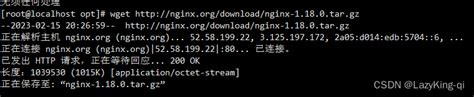 nginx介绍及安装（windows版，linux版） nginx windows版本 csdn博客