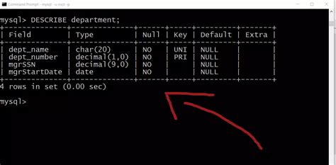Basic MySQL Commands TestingDocs