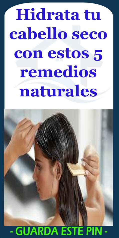 Remedios Caseros Para Hidratar El Pelo Muy Seco
