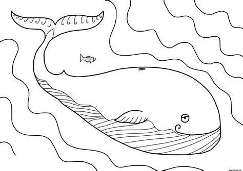 Coloriage Baleine Mammifere Marin Dessin Baleine à imprimer