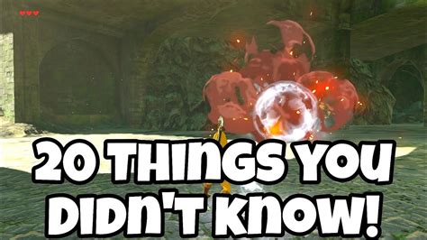 Things You Didn T Know About Botw Youtube