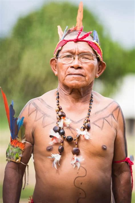Tribos indígenas As principais brasileiras povos costumes e curiosidades