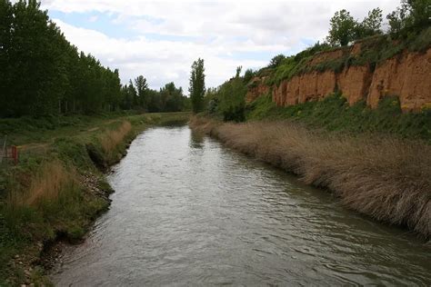Pesca Canal Del Esla Leon Fishsurfing